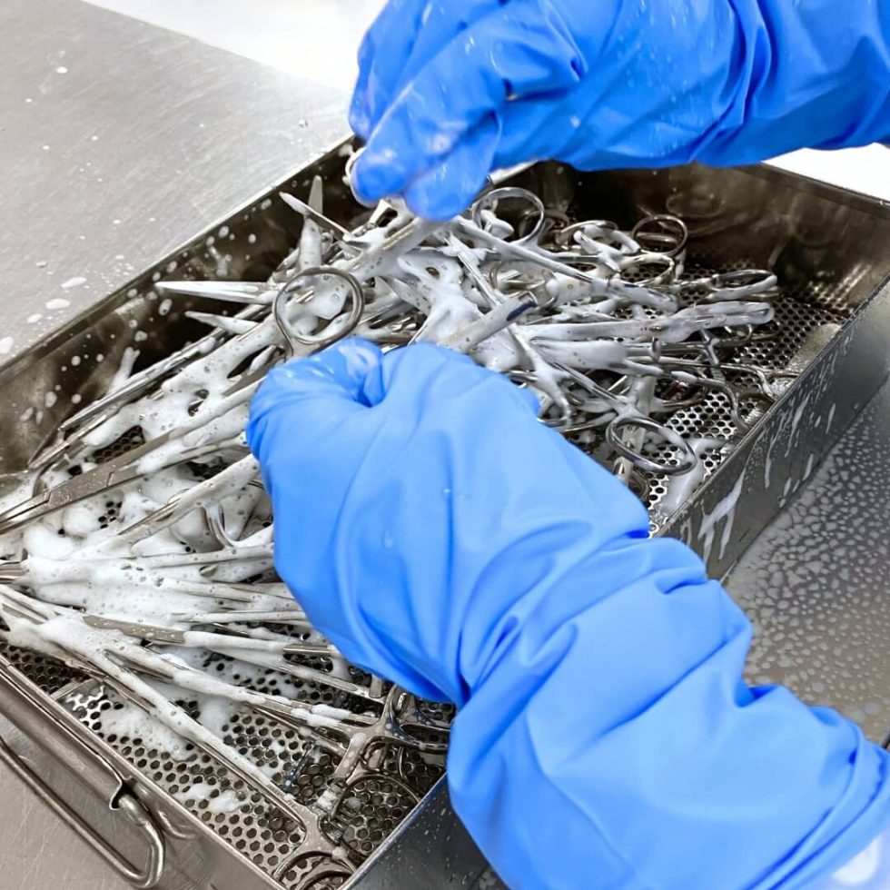 EcoZyme Foam Spray - Southmedic Inc.