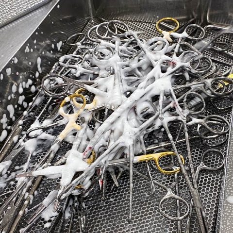 EcoZyme Foam Spray - Southmedic Inc.